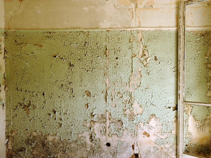 Common Causes of Interior Wall Paint Cracking